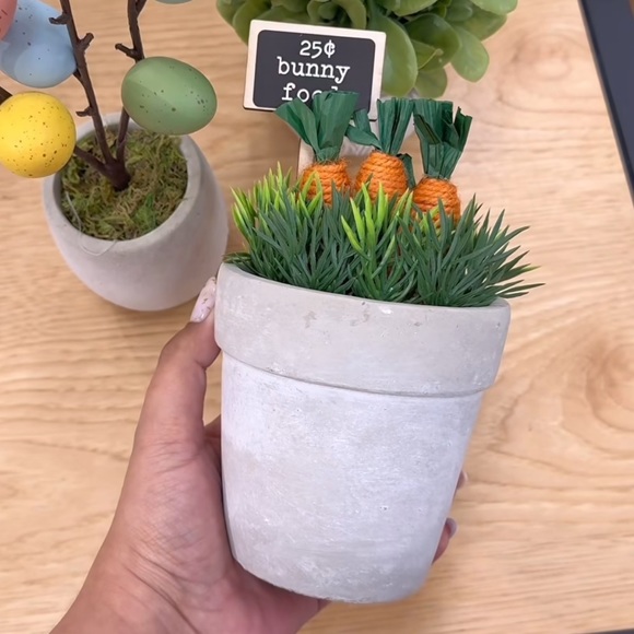 Target | Holiday | Target Bullseyes Playground Cement Potted Carrots ...